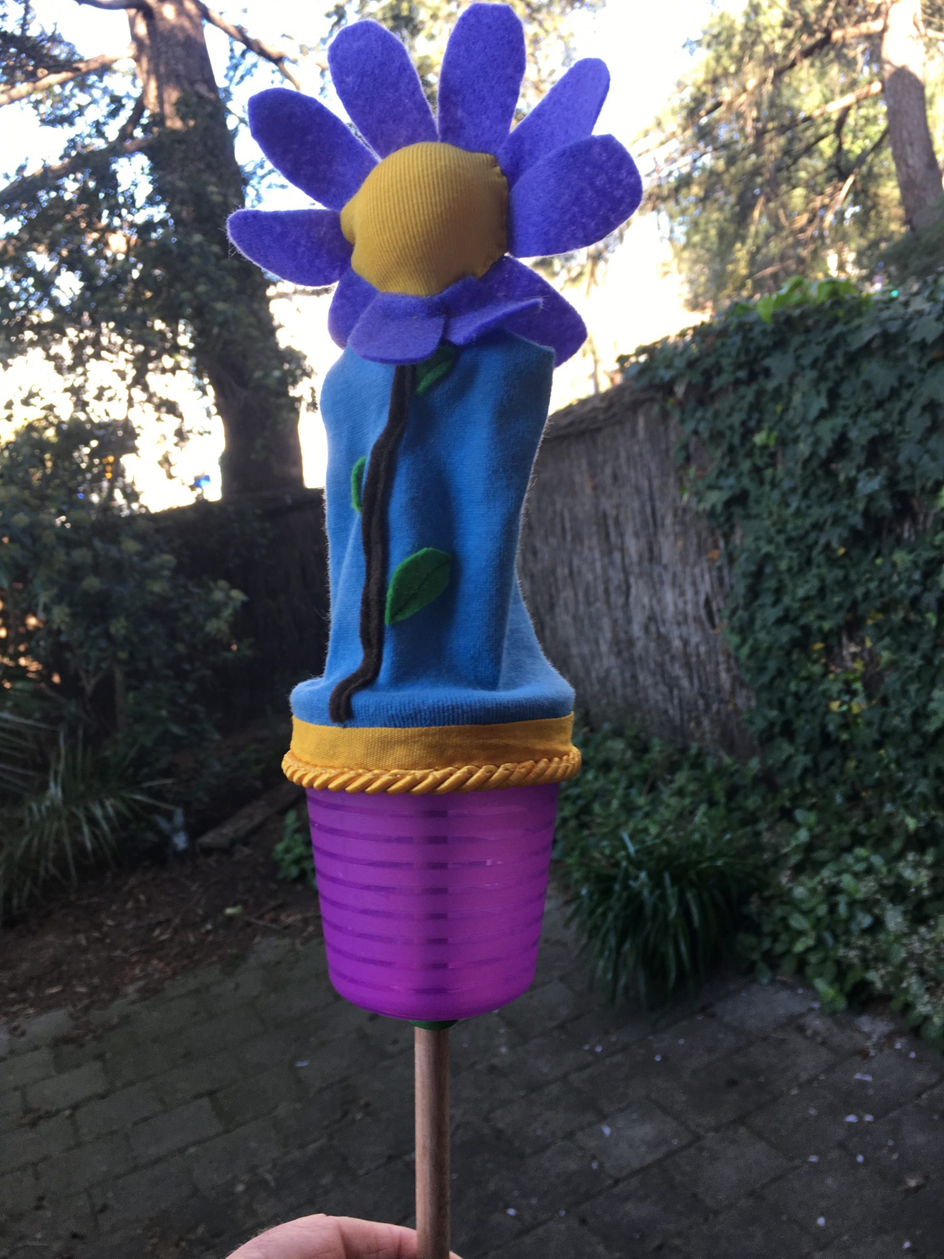 Jack and Molly 2019 cost per shows Jack and Molly